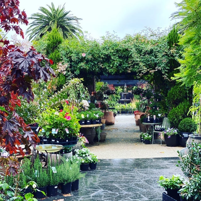 Gills Nursery